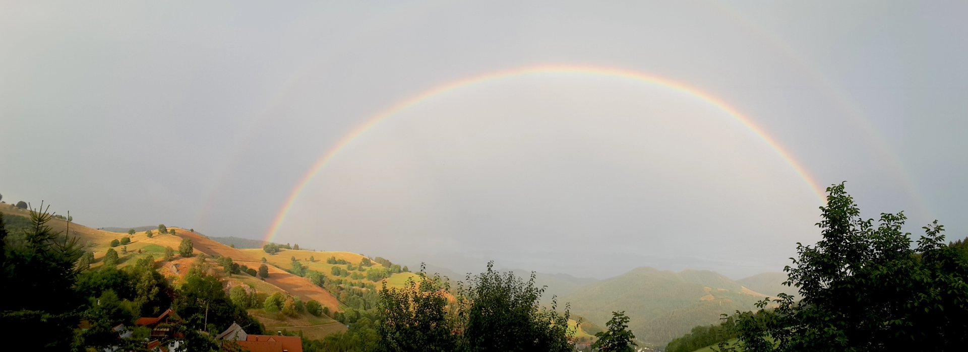 Grand Piano in black forest house | Music Traveler